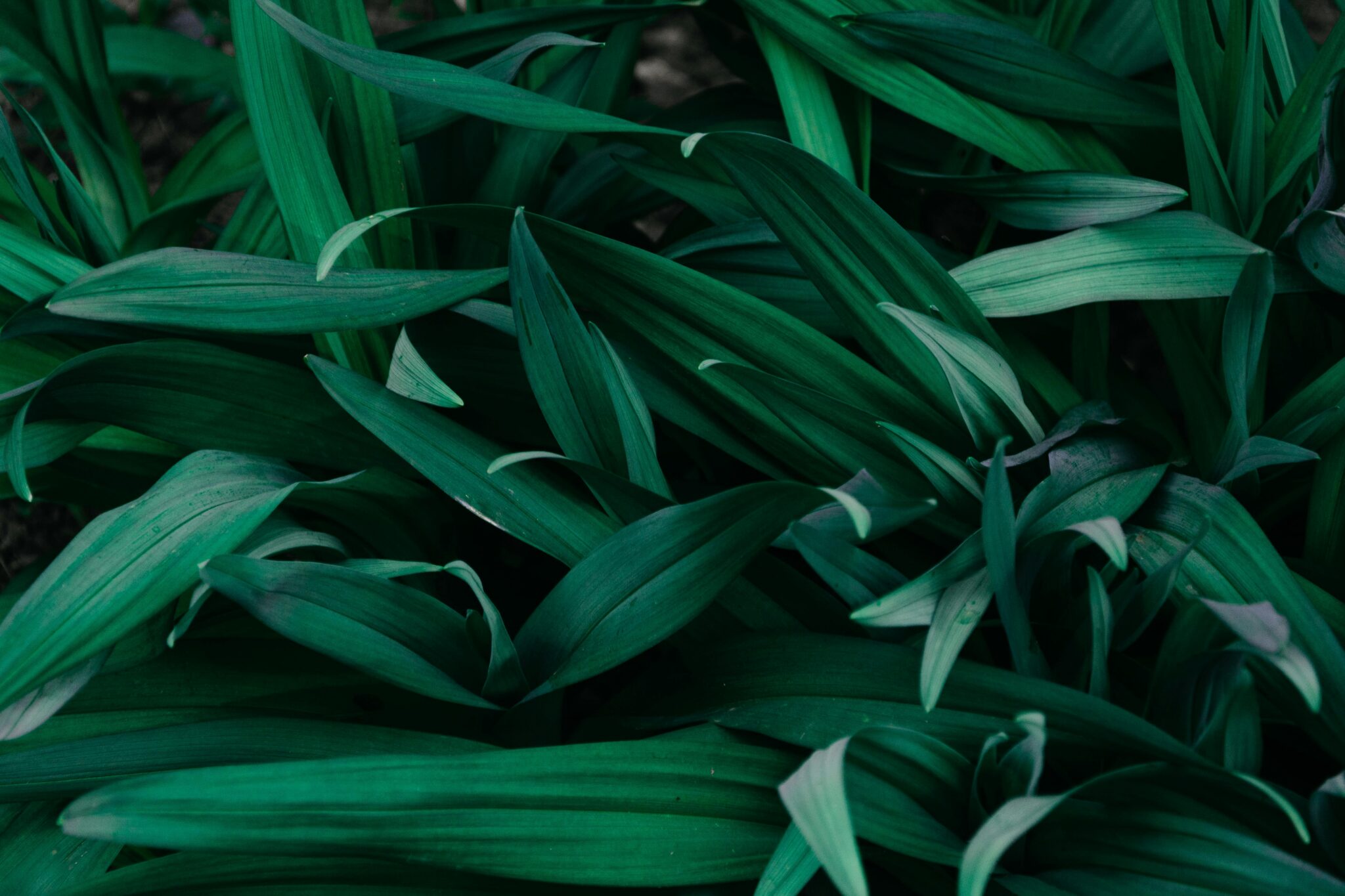 Celebrating Climate Leadership: The Earthshot Prize 2025 Winners Chart ...